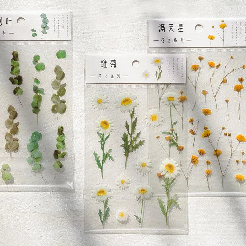 Magic of Plants Transparent Sticker Sheet – Up 60% Off at PaperWrld