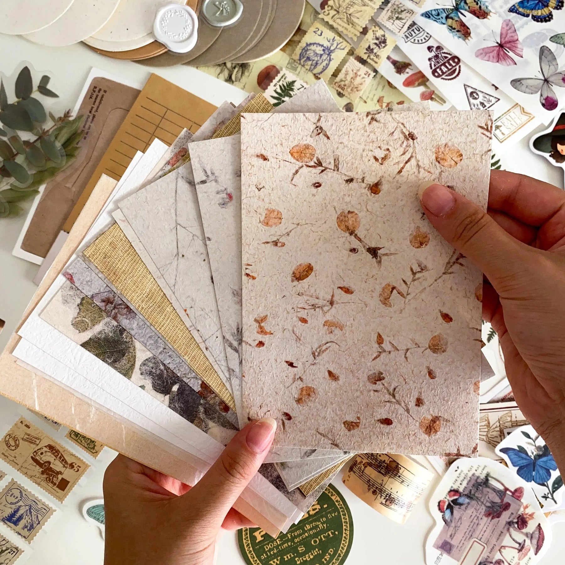 DIY Phone Case Autumn Box - Personalize Your Phone – Up 60% Off at ...