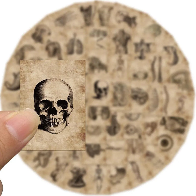 56 PVC Anatomical Adhesive Stickers – Up 60% Off at PaperWrld