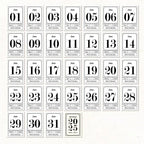 PAPERWRLD - 2025 Mini Tear-Off Calendar