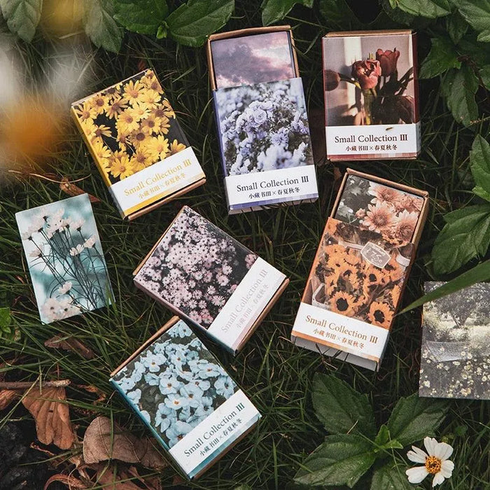 Nature Scenery Paper – Up 60% Off at PaperWrld