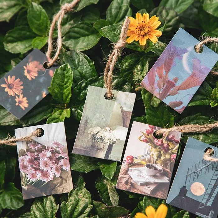 Nature Scenery Paper – Up 60% Off at PaperWrld