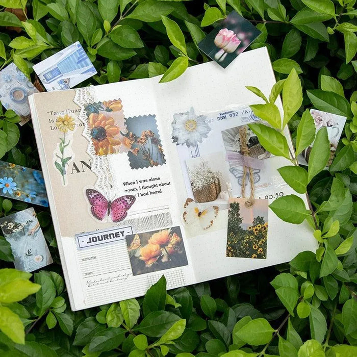 Nature Scenery Paper – Up 60% Off at PaperWrld