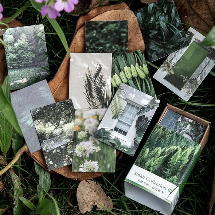 Nature Scenery Paper – Up 60% Off at PaperWrld