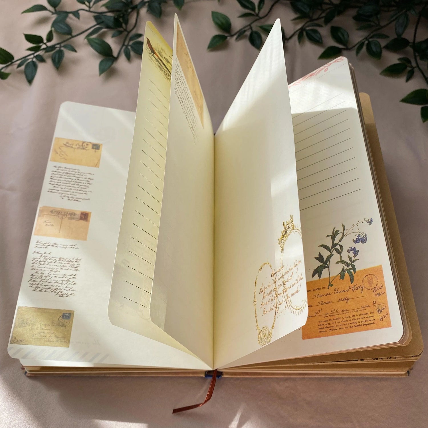 Outdoor Adventure Box – Up 60% Off at PaperWrld