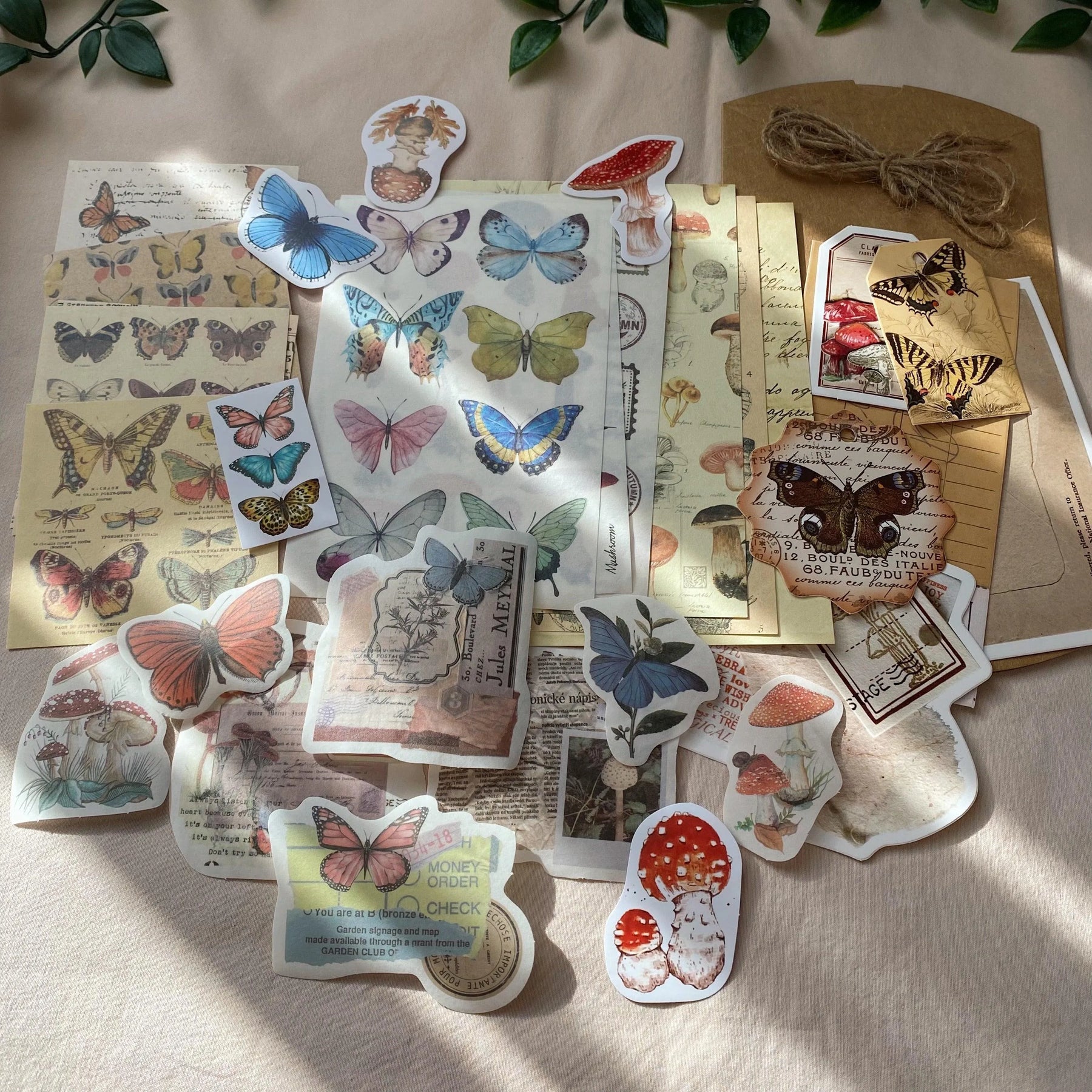 PAPERWRLD - Outdoor Adventure Box