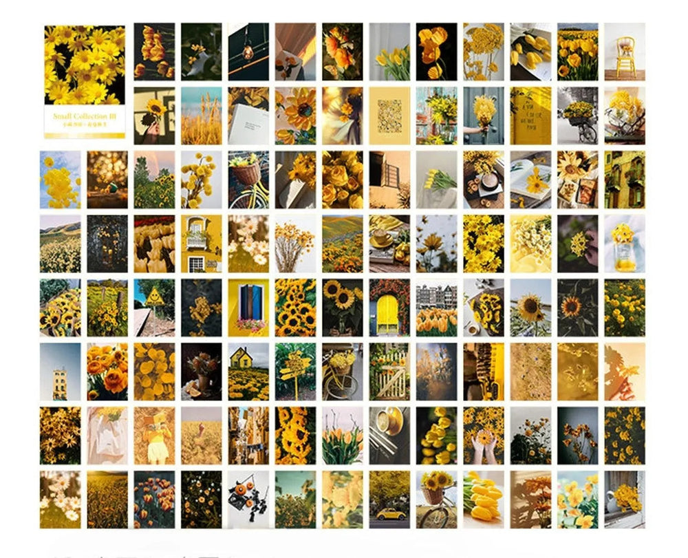 Nature Scenery Paper – Up 60% Off at PaperWrld